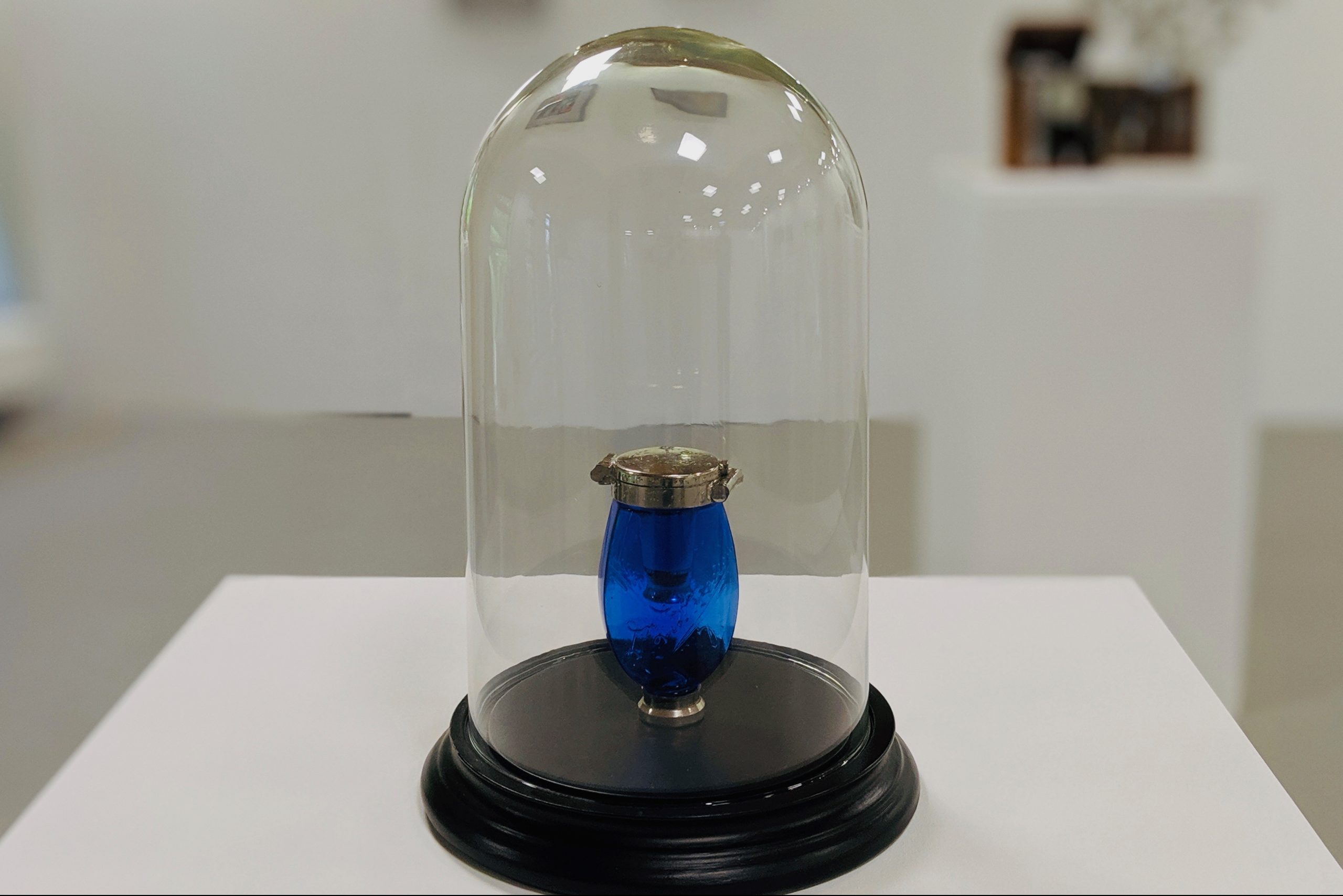 Blue Henry - Anna Dumitriu