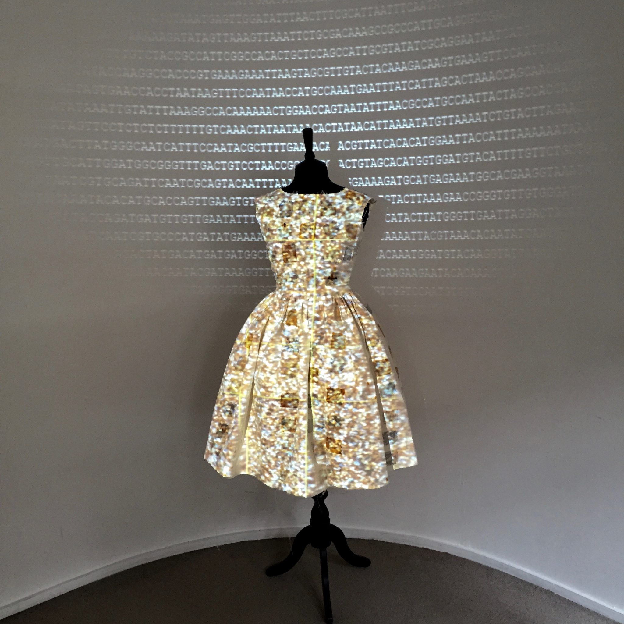 The Sequence Project - Anna Dumitriu