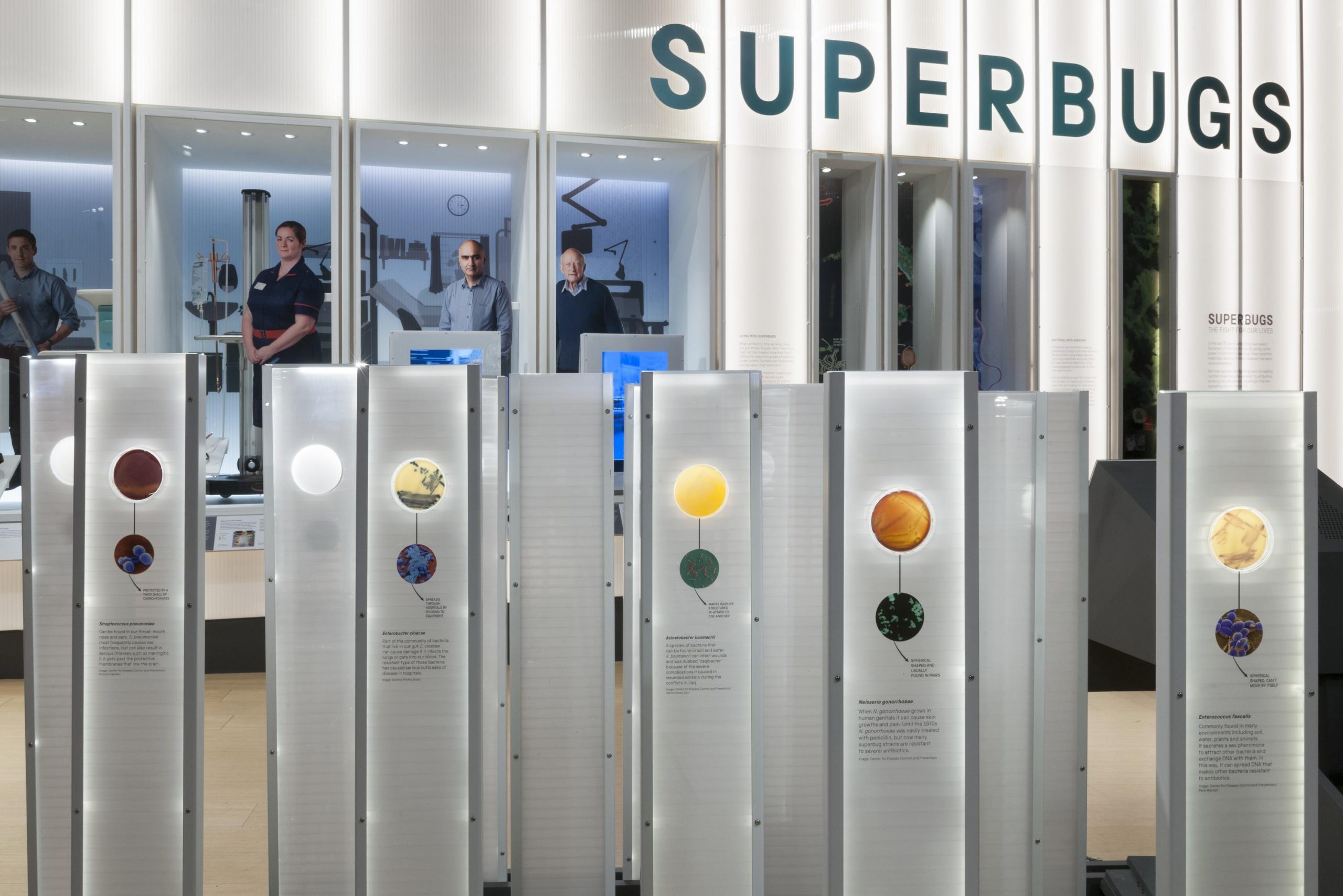 Superbugs at the Science Museum - Anna Dumitriu