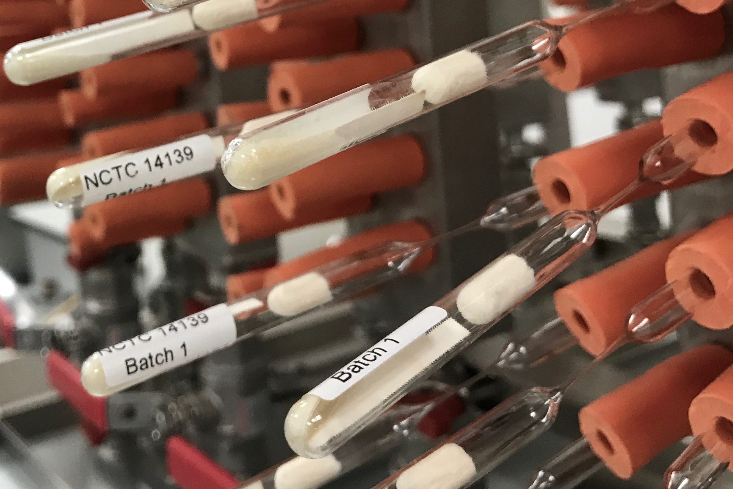 National Collection of Type Cultures - Anna Dumitriu