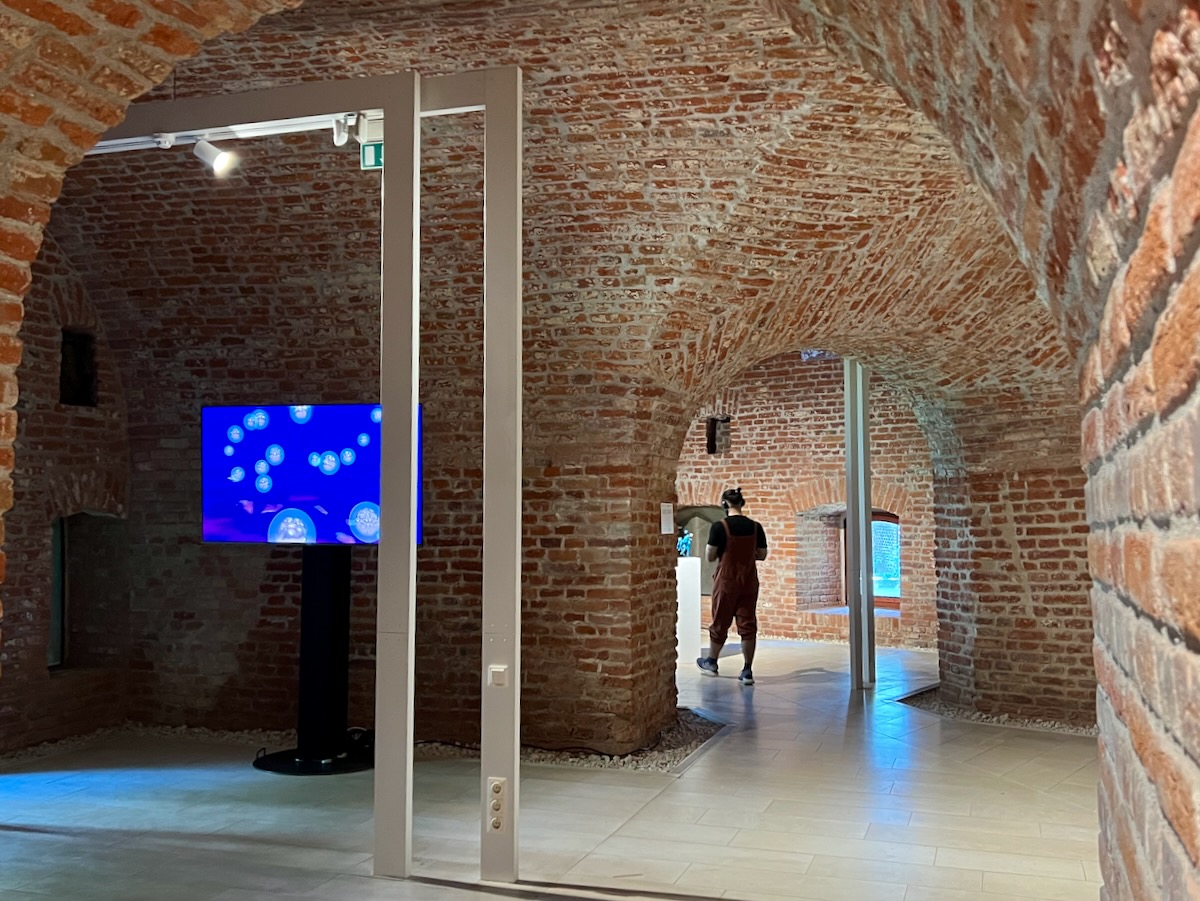 Precious Cells - Anna Dumitriu