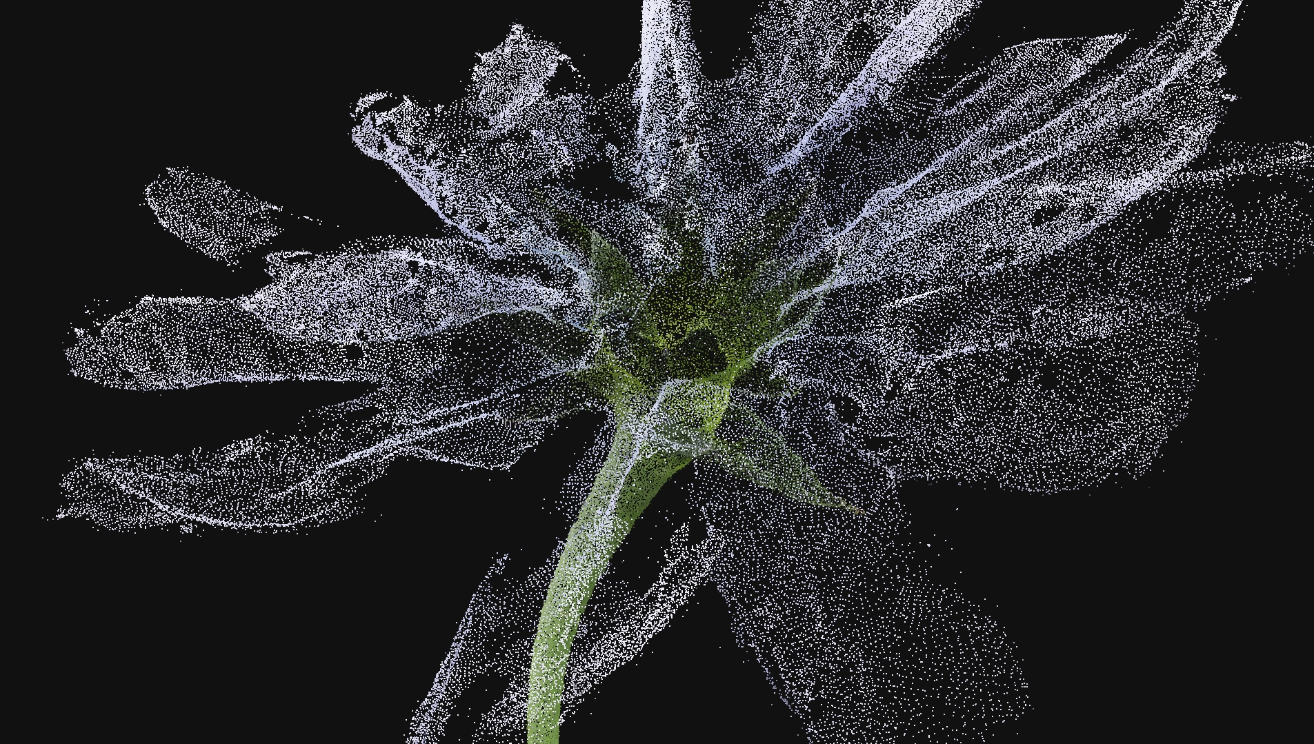 Biotechnology from the Blue Flower - Anna Dumitriu