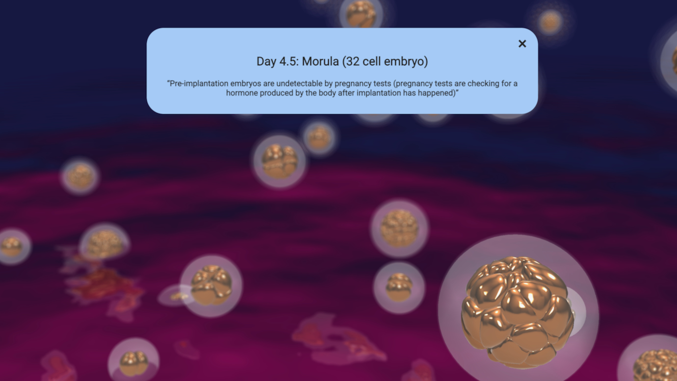 Precious Cells - Anna Dumitriu